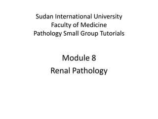 Urinary system Tutorial Renal Pathology.pdf