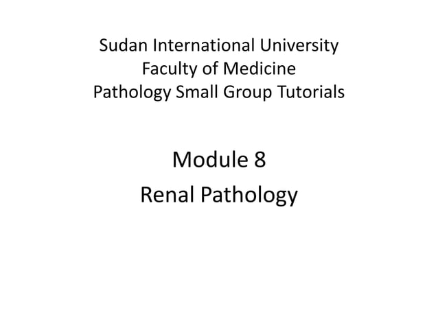 Urinary system Tutorial Renal Pathology.pdf