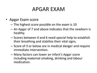 Tutorial slides | PPT