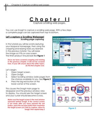 Tutorial Snagit | PDF