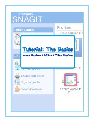 Snagit 12