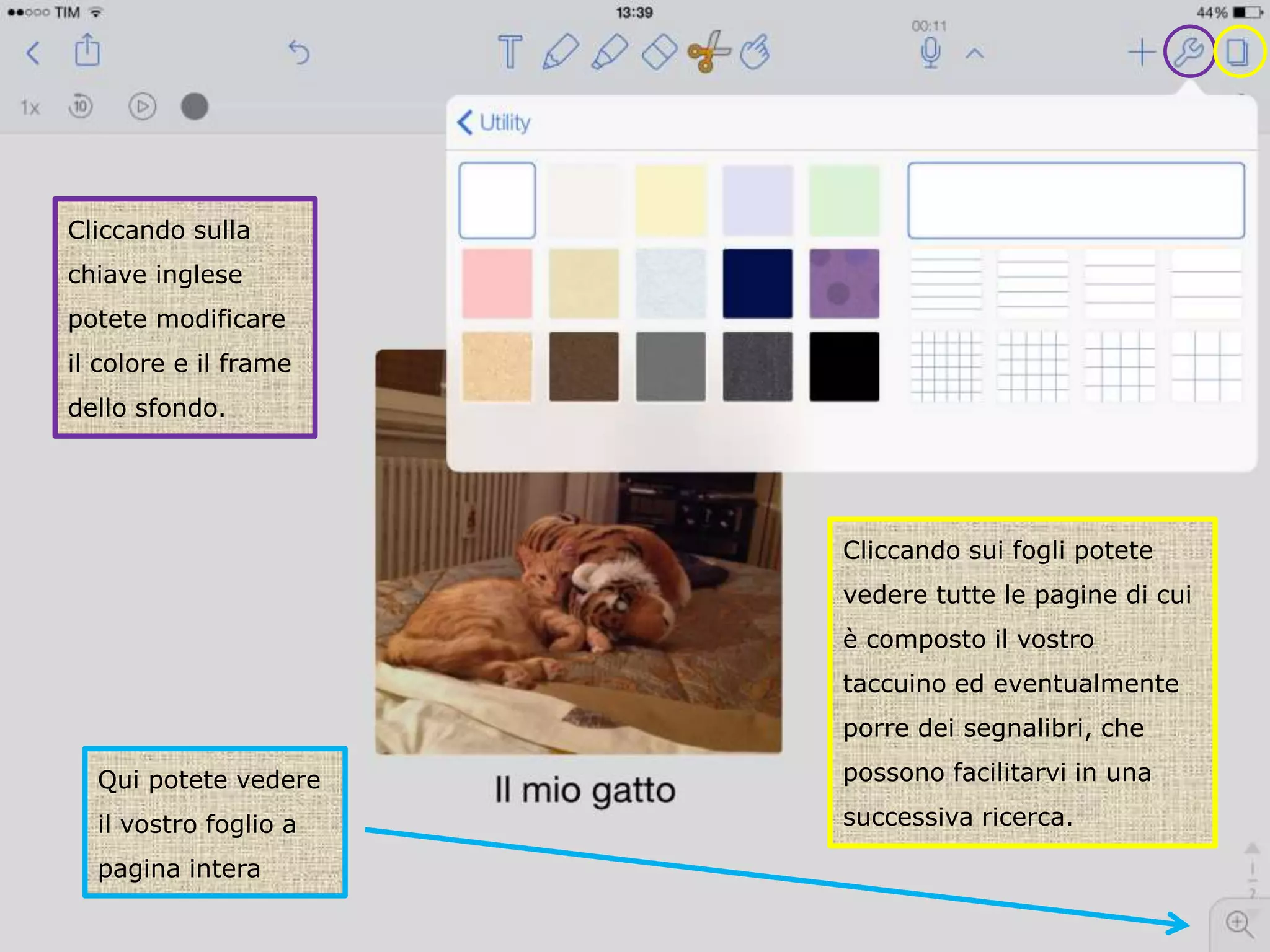 Tutorial su Notability | PPT