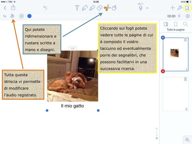 Tutorial su Notability | PPT