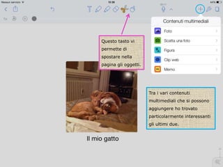 Tutorial su Notability | PPT