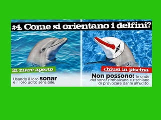 Tutorial su Rubistar | PPTX | Computing | Technology & Computing