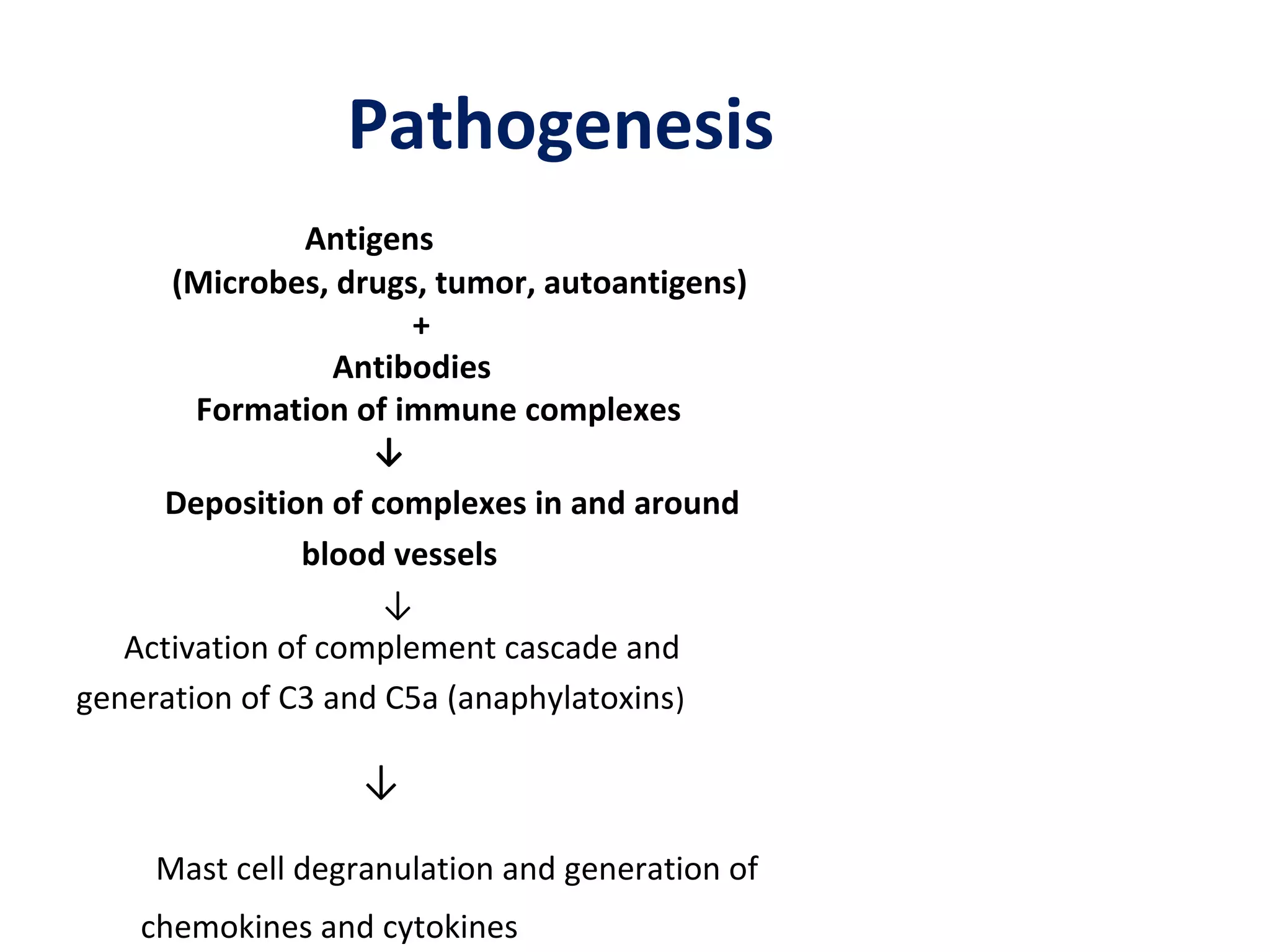 Tutorial vasculitis | PPT