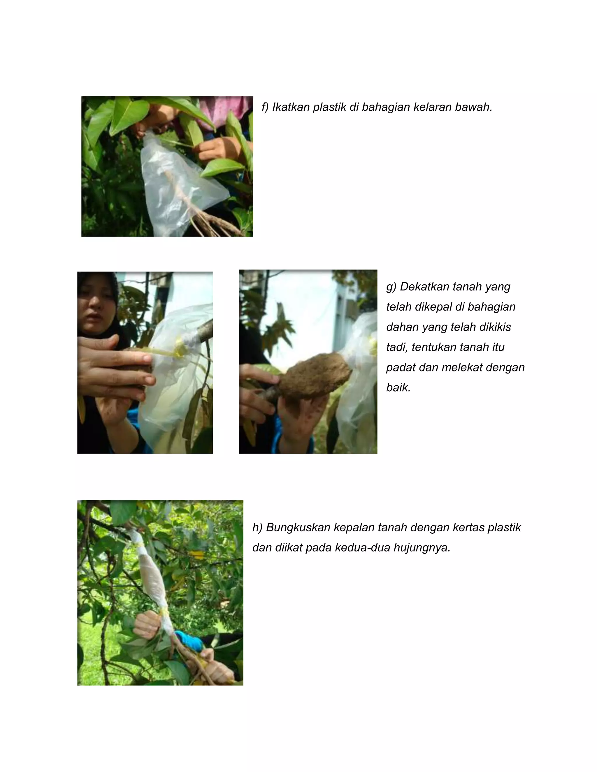 Tut pokok dokumentasi | DOCX