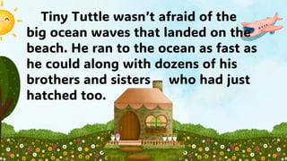 Tuttle the Turtle Tuttle the Turtle Tuttle the Turtle | PDF | Parenting ...