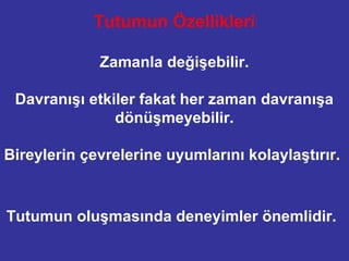 Tutum | PPT