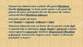 Tutunul | PPTX