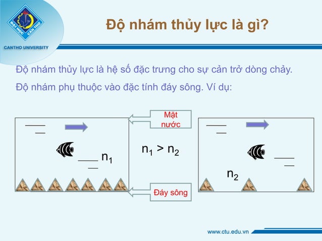 Tuu HEC-RAS guideline | PDF