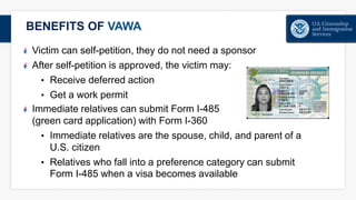 T & U Visas and the Violence Against Women Act (VAWA) | PPT