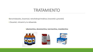 Bunostomum trigonocephalum | PPTX