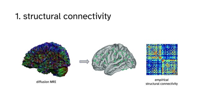 The virtual brain: an introduction and 3 clinical examples | PPT | Free ...