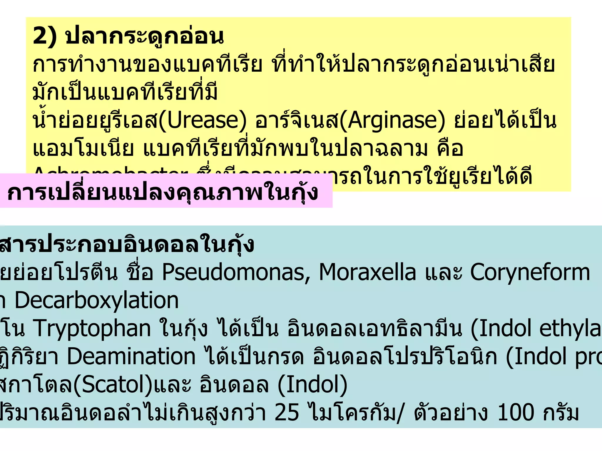 Tvb n-aquatic-03 | PPT