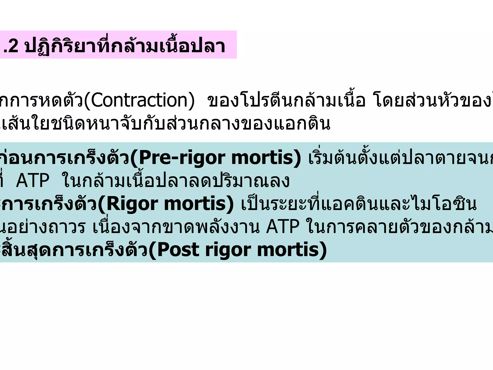 Tvb n-aquatic-03 | PPT