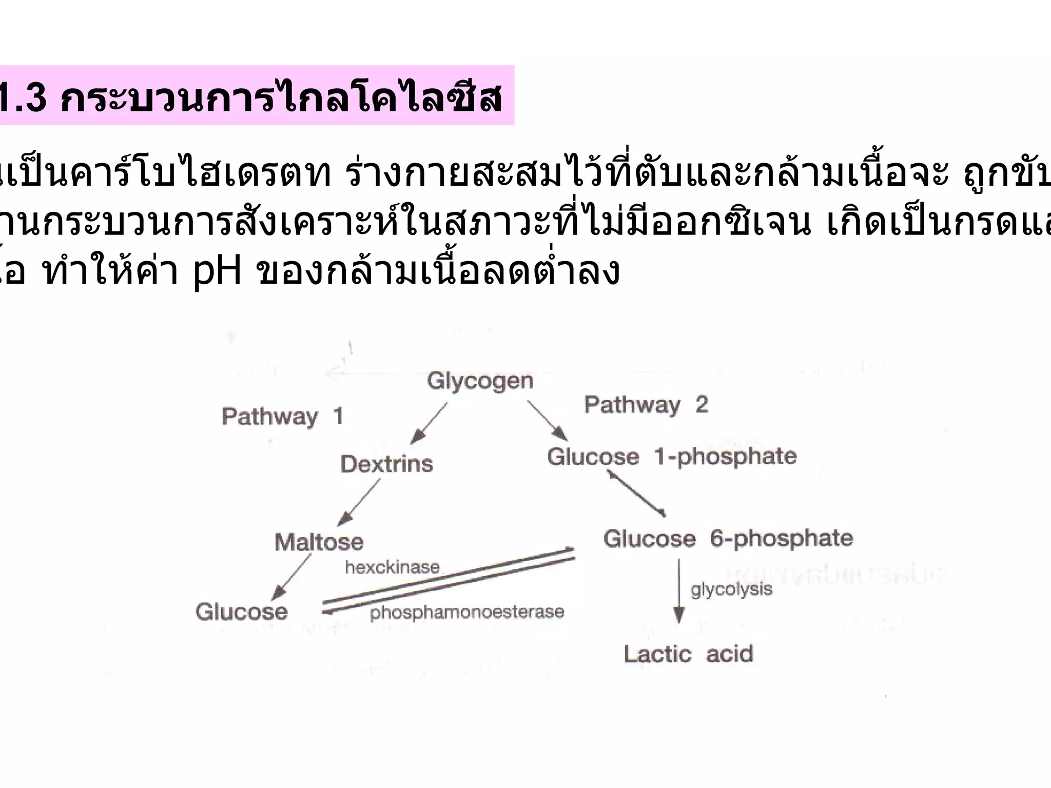 Tvb n-aquatic-03 | PPT