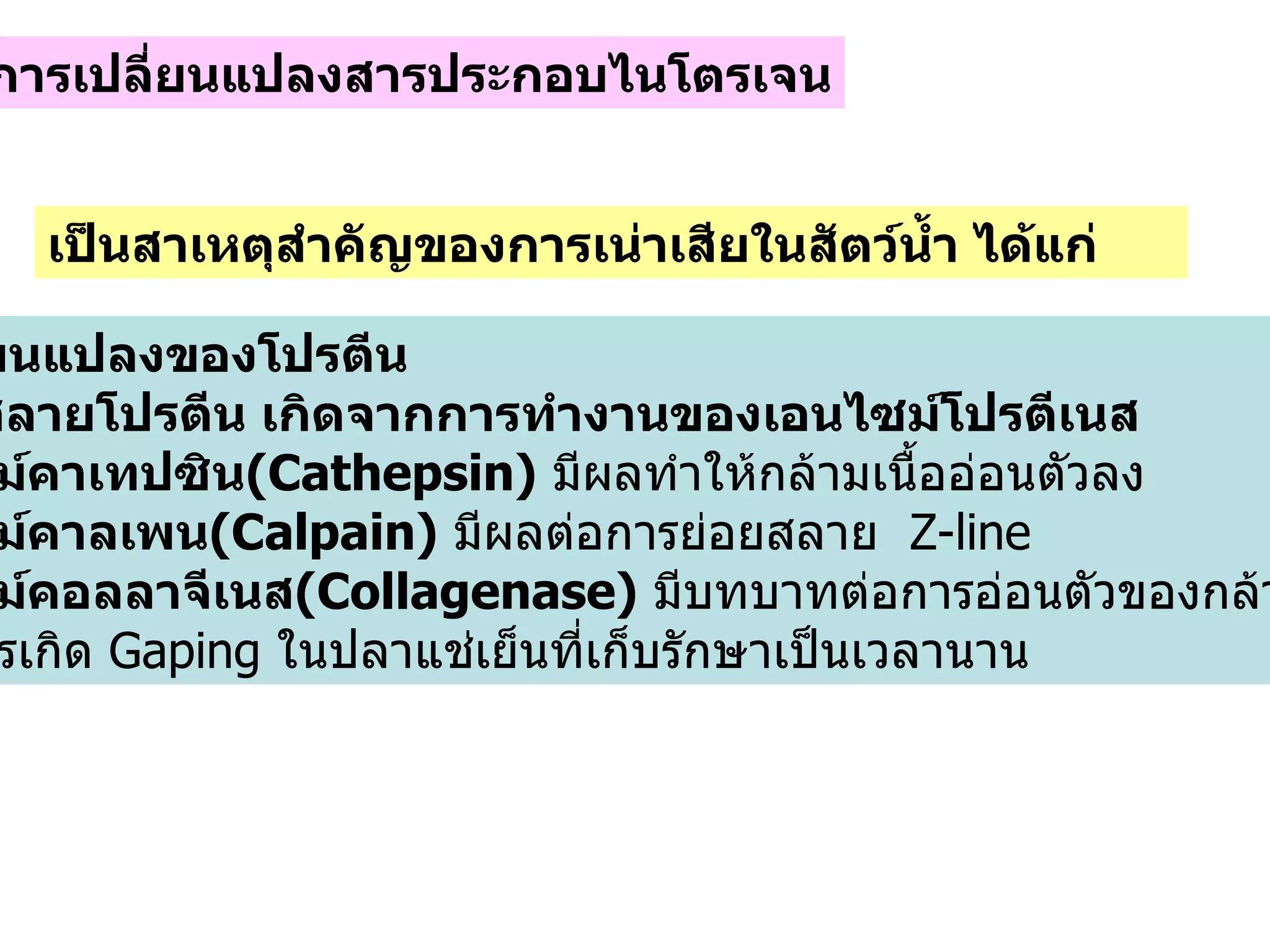 Tvb n-aquatic-03 | PPT