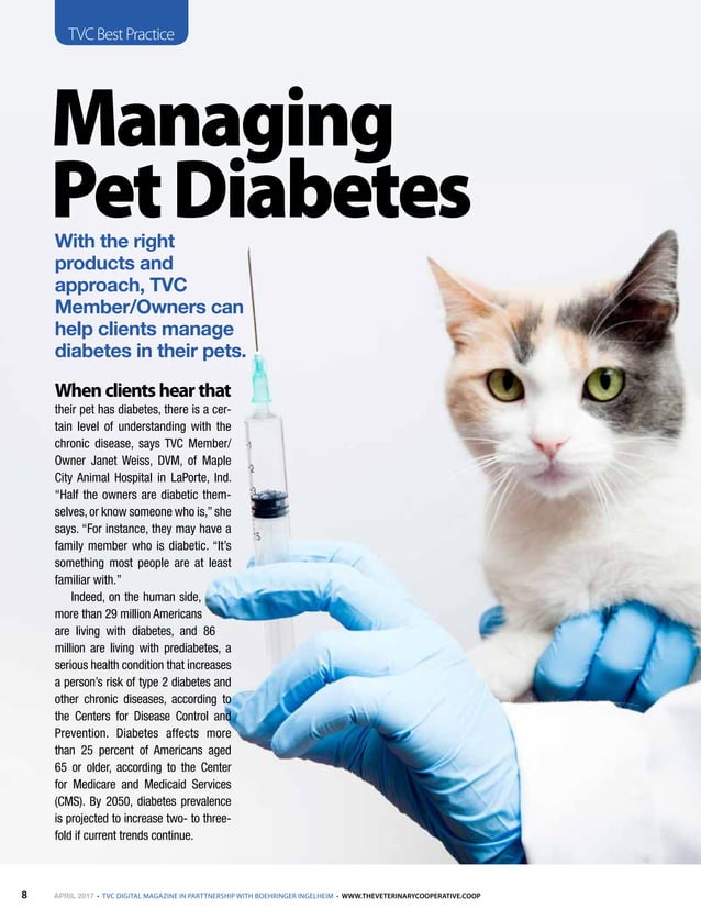 Tvc april17 on pet diabetes, a1c for cats and dogs | PDF