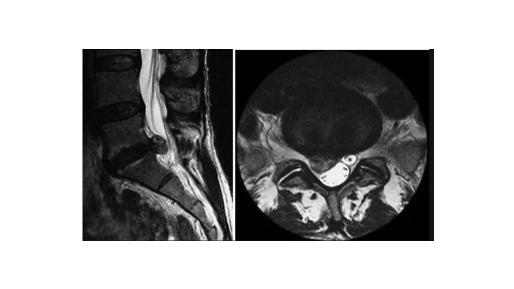 TVDD CSTL_TRUONG A4.pptx