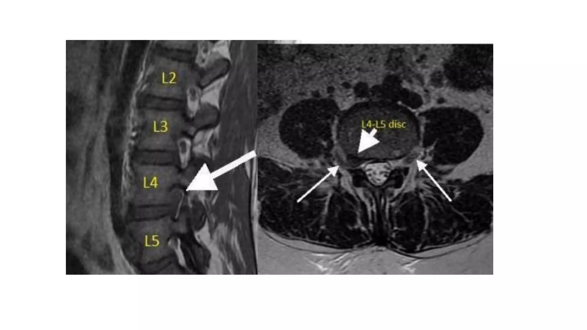 TVDD CSTL_TRUONG A4.pptx