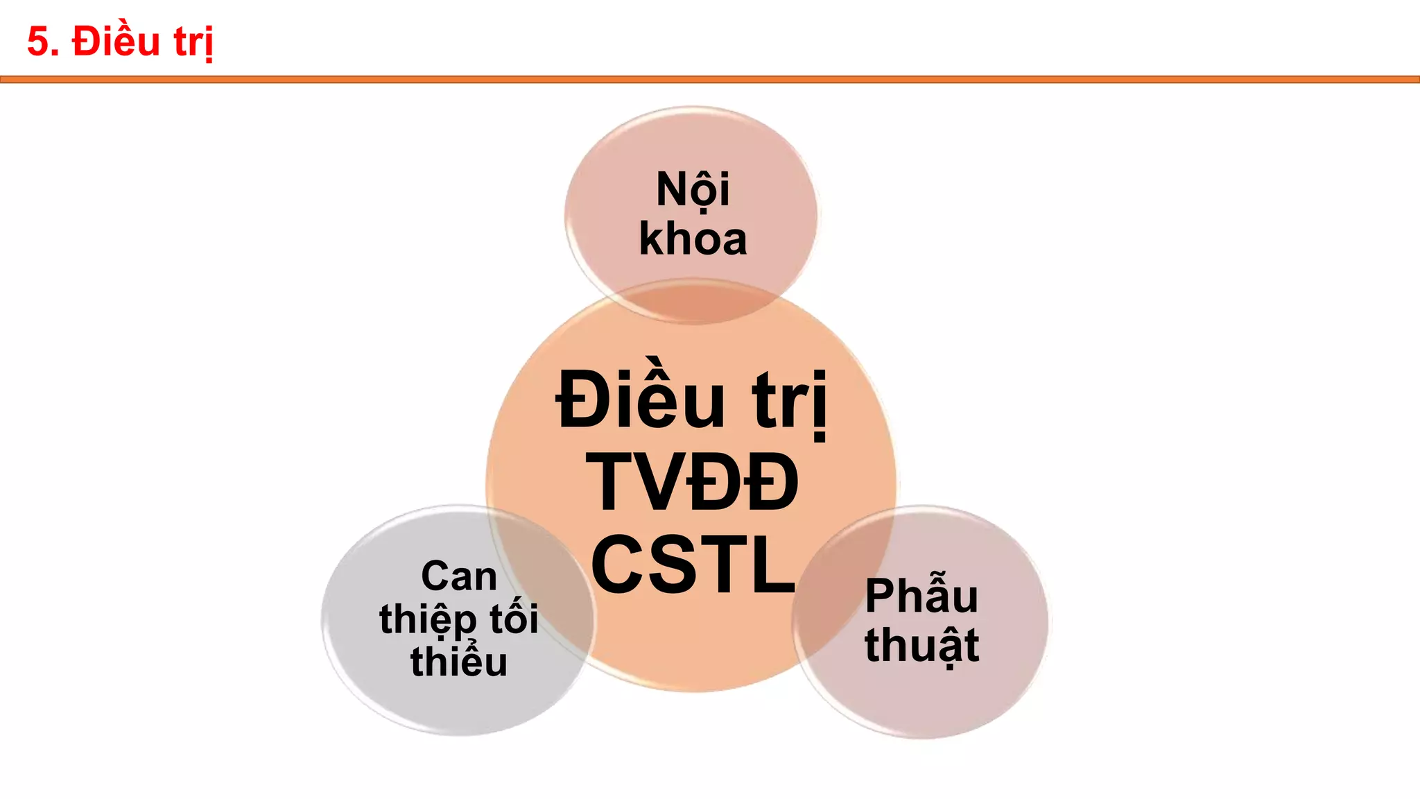 TVDD CSTL_TRUONG A4.pptx