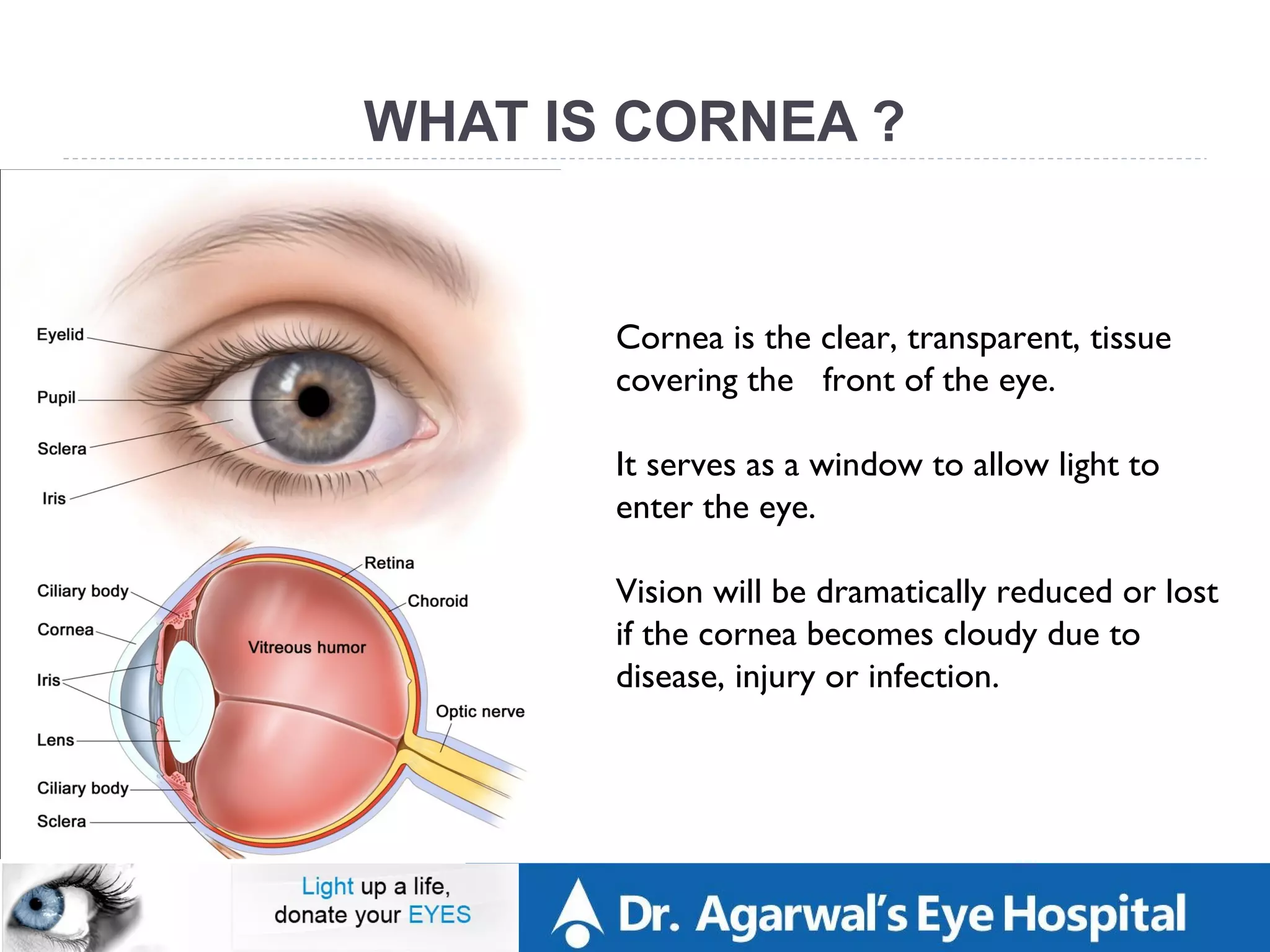 EYE DONATION | PPT