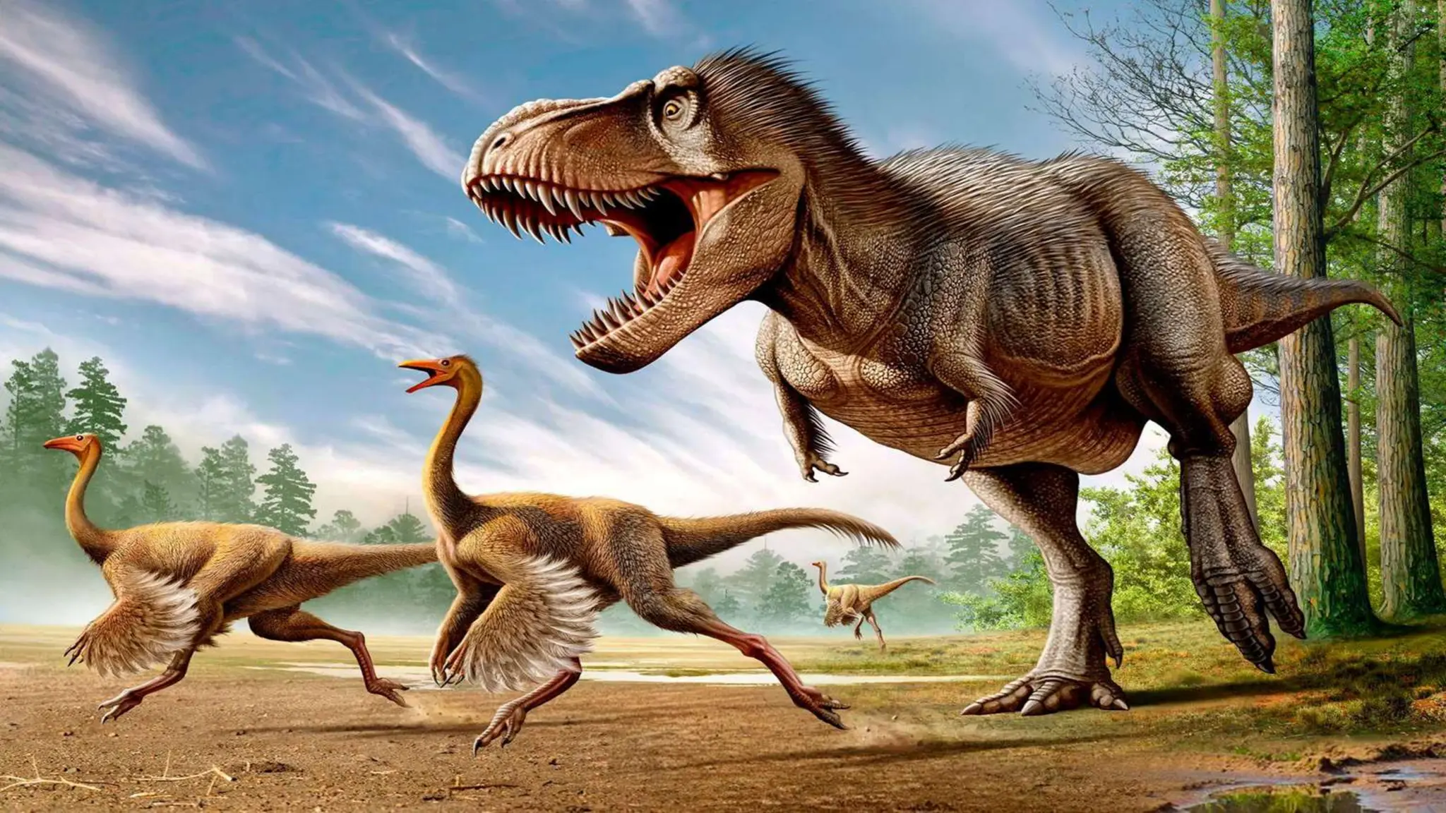 Adaptations_in_animals_grade_4.pptx