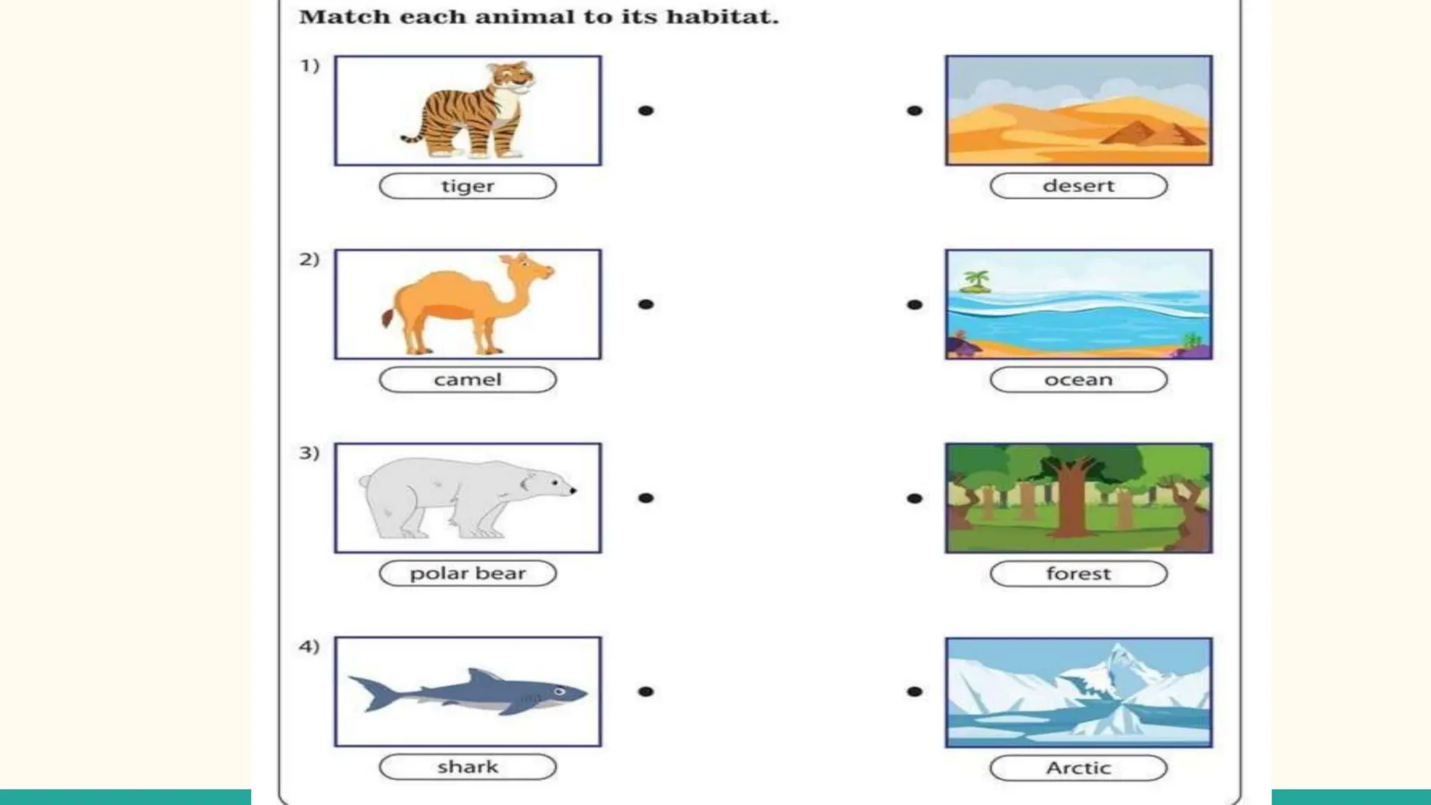 Adaptations_in_animals_grade_4.pptx
