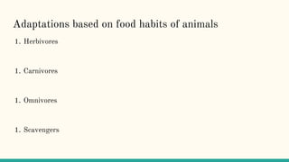 Adaptations_in_animals_grade_4.pptx