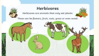 Adaptations_in_animals_grade_4.pptx