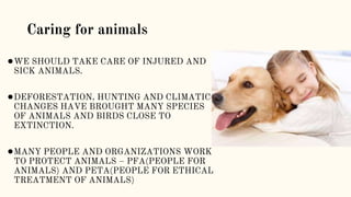 Adaptations_in_animals_grade_4.pptx