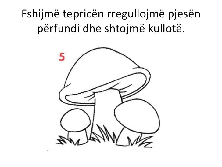 Të vizatojmë këpurdhat