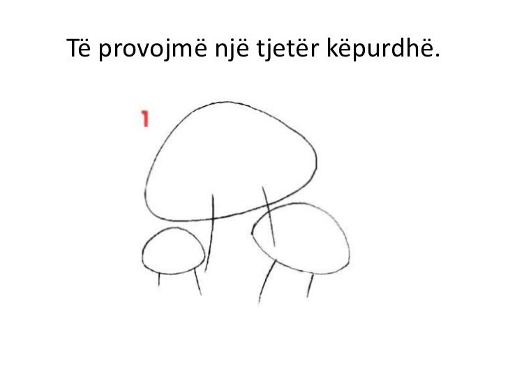 Të vizatojmë këpurdhat