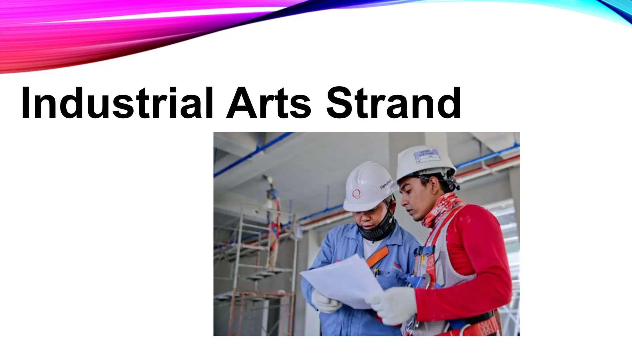 An In-Depth Guide About TVL Track and Strands for Future SHS ...