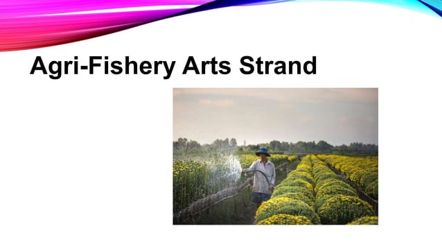 An In-Depth Guide About TVL Track and Strands for Future SHS ...