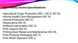 An In-Depth Guide About TVL Track and Strands for Future SHS ...