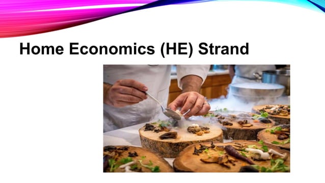 An In-Depth Guide About TVL Track and Strands for Future SHS ...