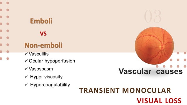 approach to transient visual loss in clinical practice // | PDF | Eye ...