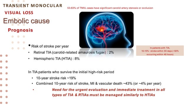 approach to transient visual loss in clinical practice // | PDF | Eye ...