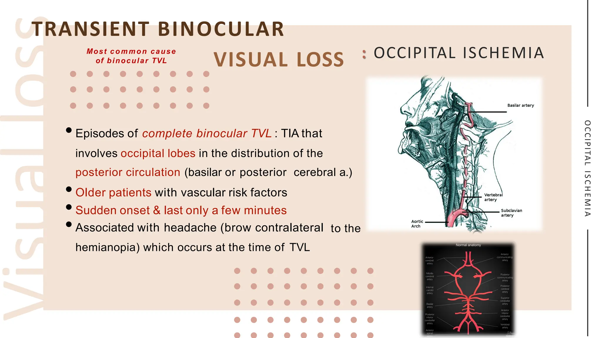 approach to transient visual loss in clinical practice | PDF