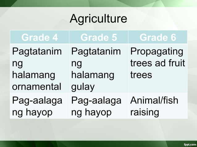 TVL - HE.pptx | Business | Business and Finance