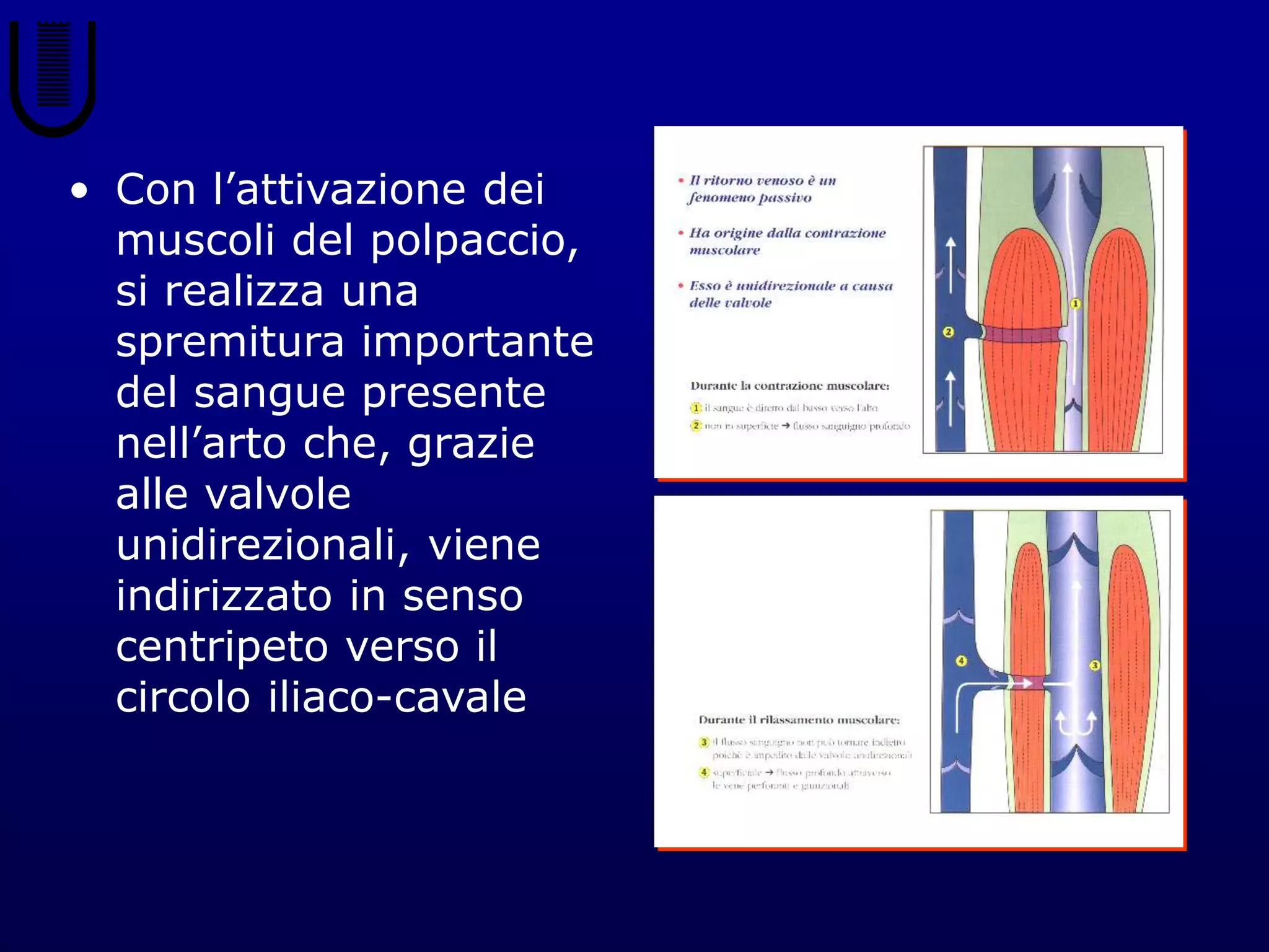 TROMBOSI VENOSA PROFONDA TVP LEZIONE MEDICINA INTERNA ROBERTO LEO 2019 ...