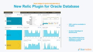Overview of Blue Medora - New Relic Plugin for Oracle Databases | PPT