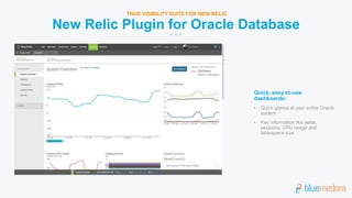 Overview of Blue Medora - New Relic Plugin for Oracle Databases | PPT