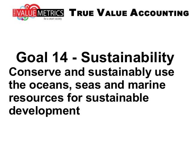 TVA p3 0 SUSTAINABLE DEVELOPMENT GOALS (SDGs) | PPT