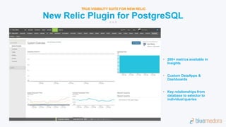 Overview of Blue Medora - New Relic Plugin for PostgreSQL Database | PPTX
