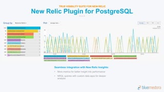 Overview of Blue Medora - New Relic Plugin for PostgreSQL Database | PPTX
