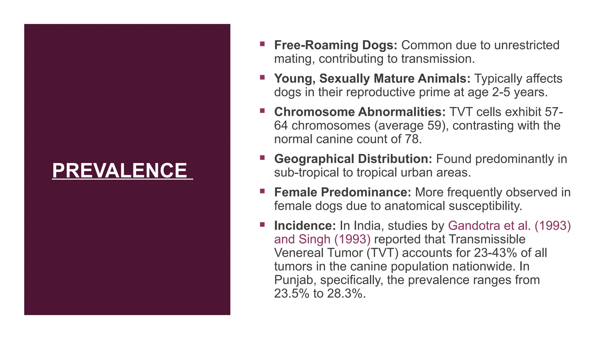 Canine Transmissible Venereal Tumor (TVT) | PPTX