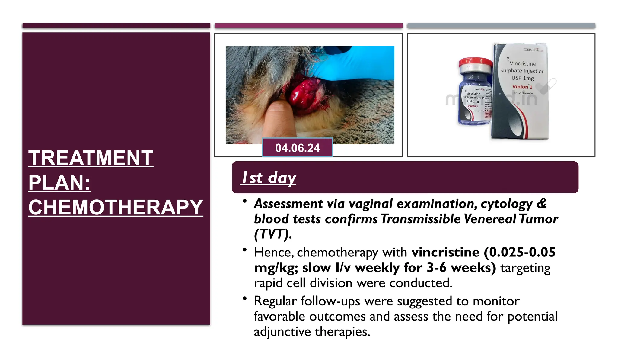 Canine Transmissible Venereal Tumor (TVT) | PPTX